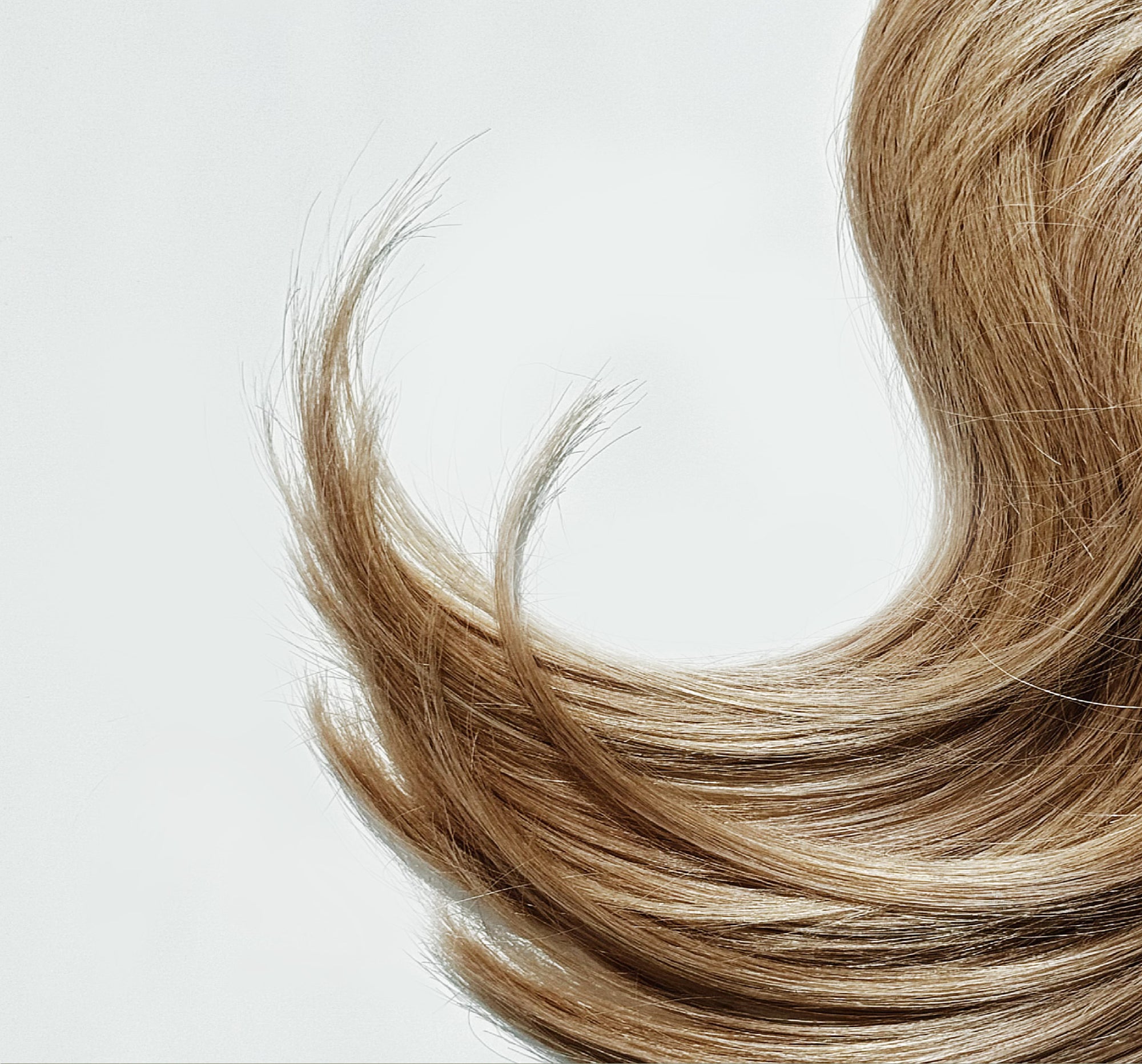 Endaring Professional Program | Salon-Grade Invisible Hair Extensions