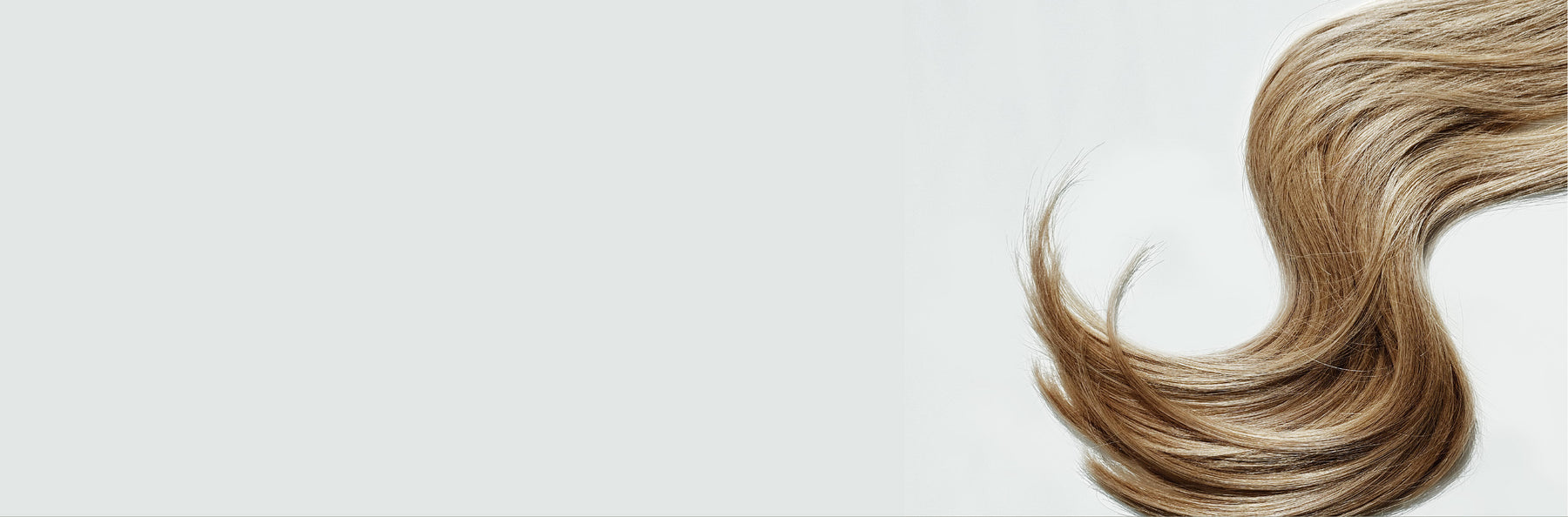 Endaring Professional Program | Salon-Grade Invisible Hair Extensions